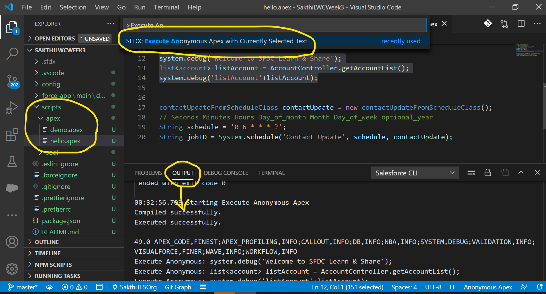 Visual Studio Code Tips Execute Anonymous Apex In Visual Studio Code