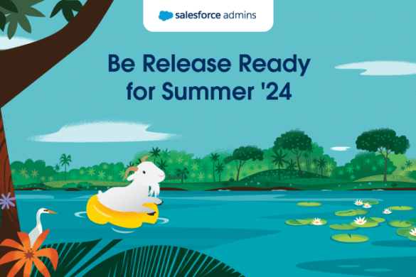 Introducing Salesforce Summer '24 Sneak Peek: Streamlined Field History ...